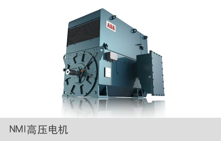 公司介绍